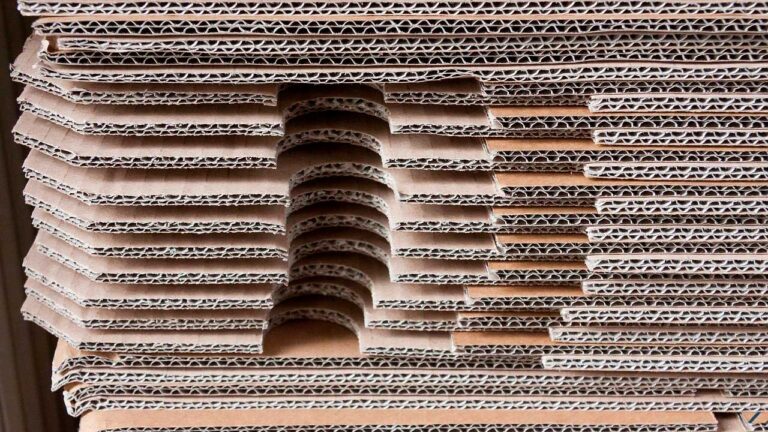 EDIVA S.A. – Profesionales en empaques y embalajes